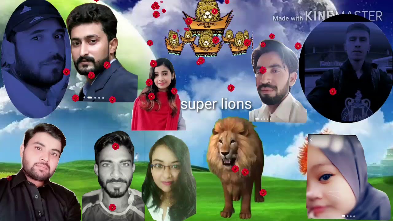 POKO | Super lions team | FIND THE DIFFERENCE game POKO | POKO game ...