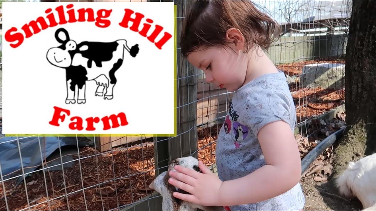 Goats and Ice Cream (Smiling Hill Farm) - YouTube