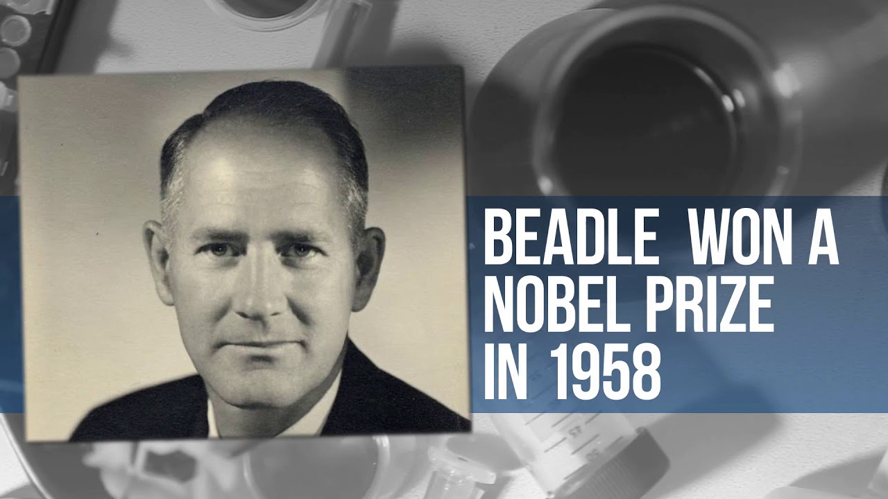 35.4 - George Beadle and Charles Bessey - YouTube
