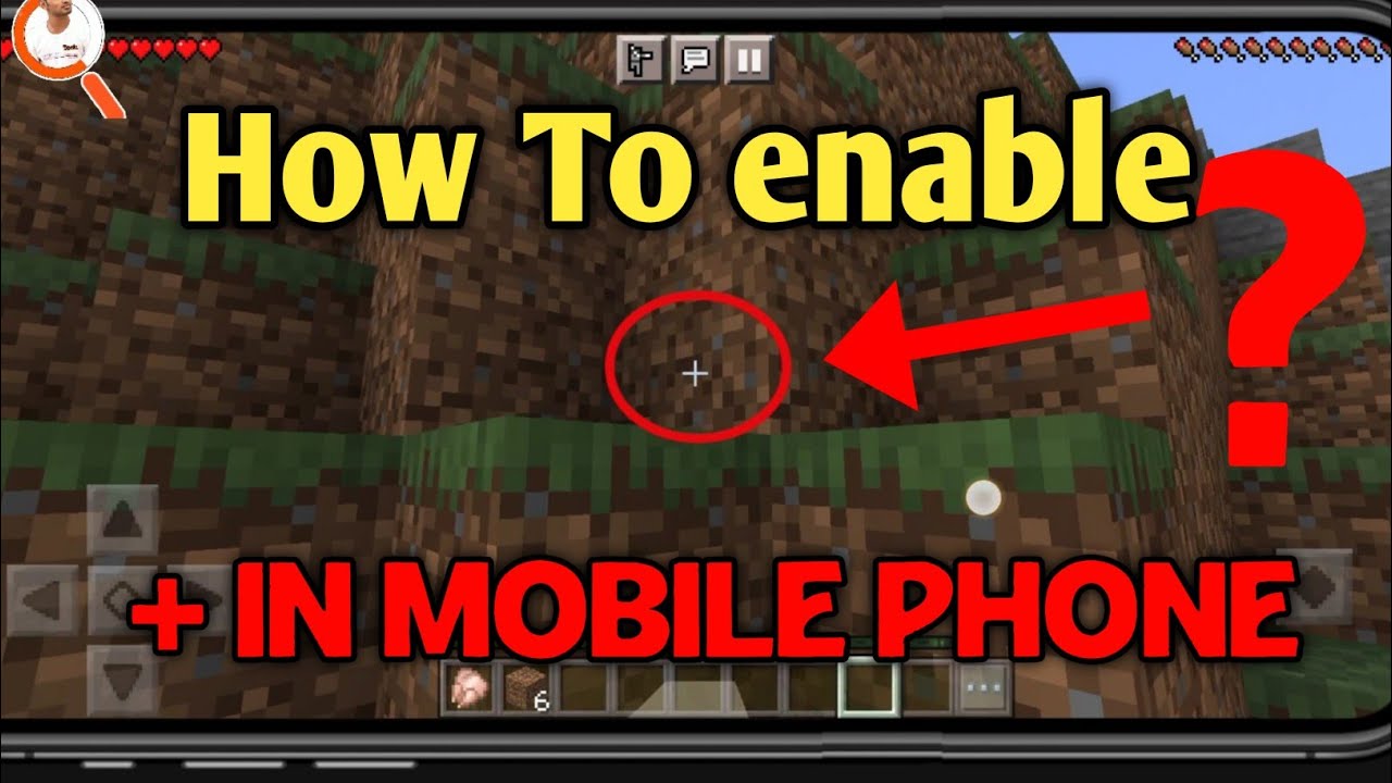 How To Get Plus Sign in MINECRAFT Minecraft Plus icon enable settings ...