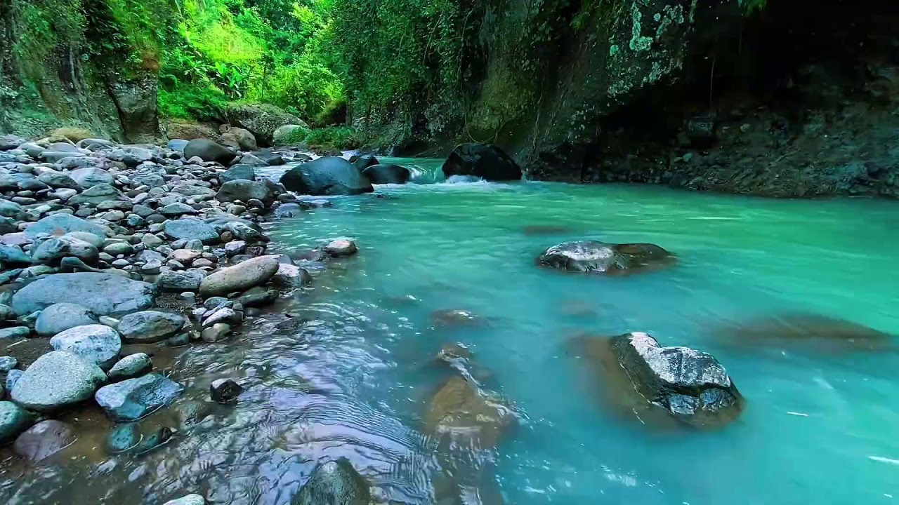 Mountain Stream Calm Night Flow, Forest River Sounds, Sleeping - YouTube