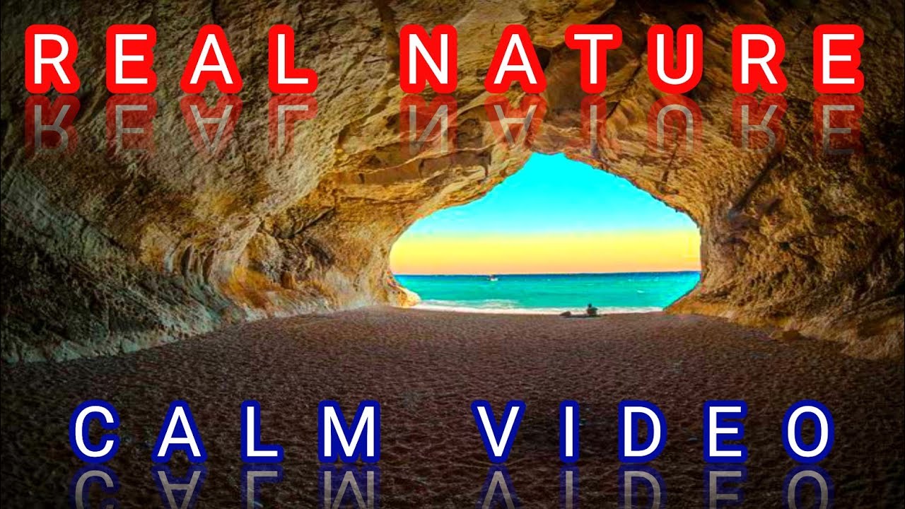 Real Nature Calm Video For You ll Calm Video ll Calm Music ll - YouTube