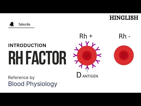 Rh Factor | Rh antigen | Part 1 | Blood physiology | KTC - YouTube