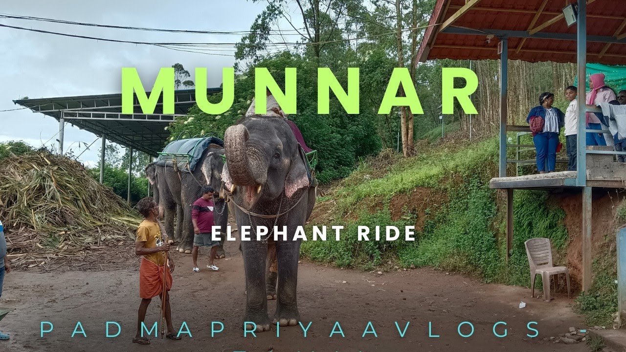 Munnar Elephant Ride | Memorable Experience 😊 - YouTube