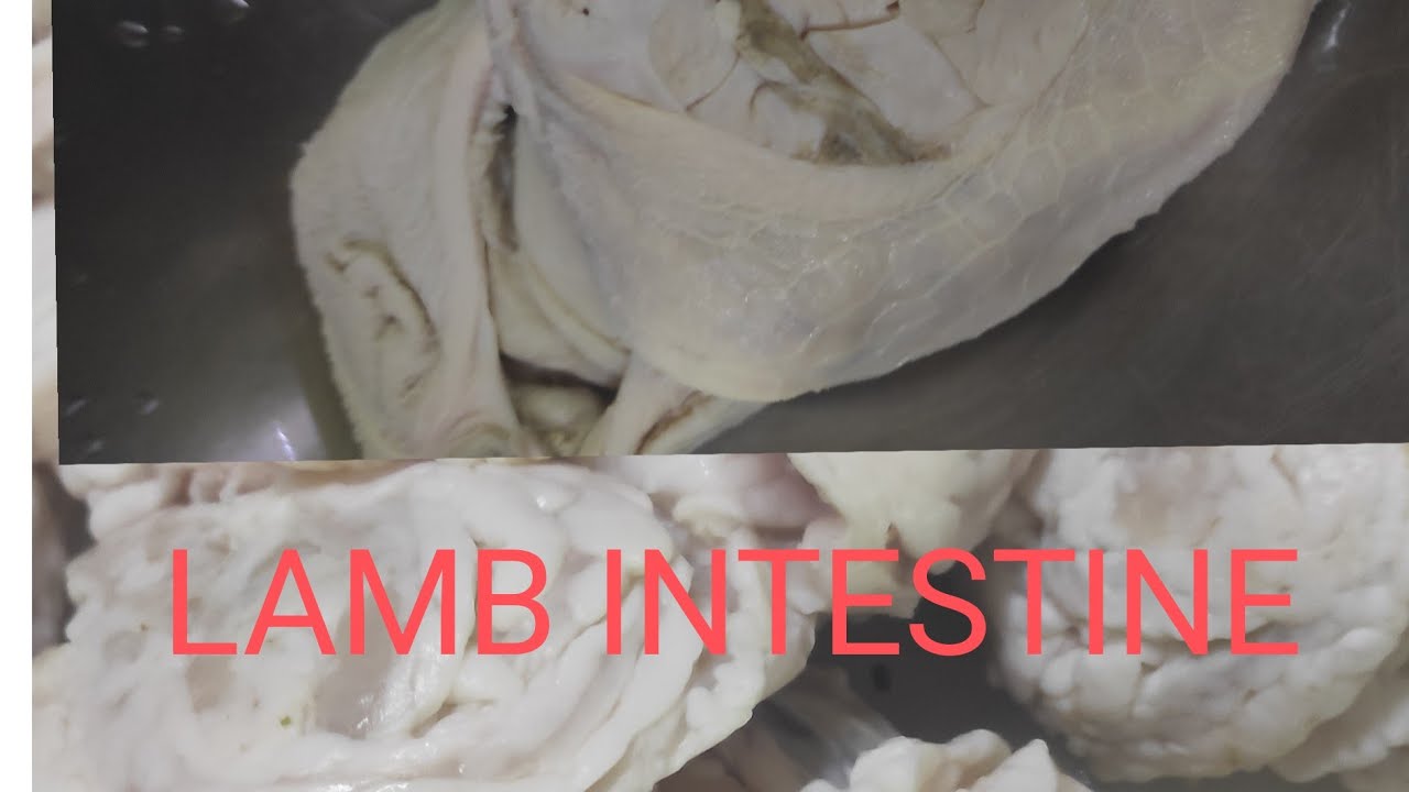 Cleaning Lamb Intestine// #food #asmrvideo - YouTube