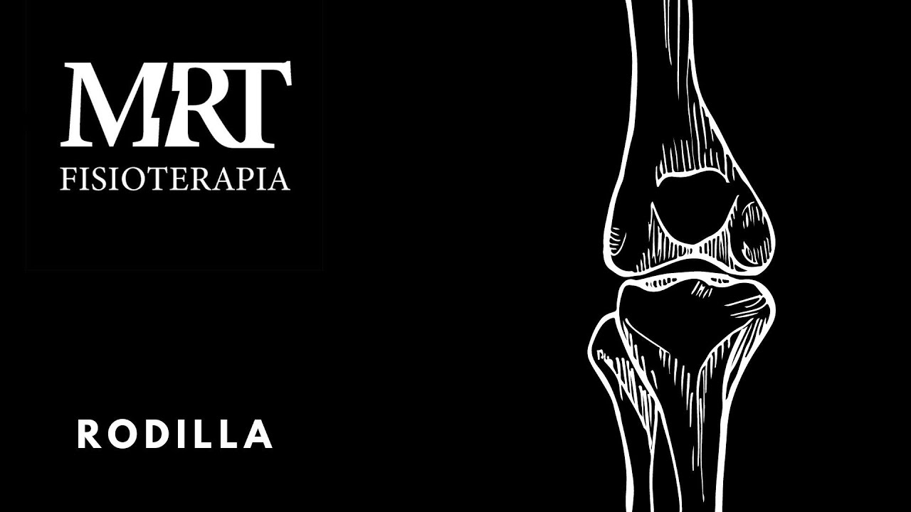 RODILLA - MOVILIZACIÓN: DE LA RÓTULA - YouTube