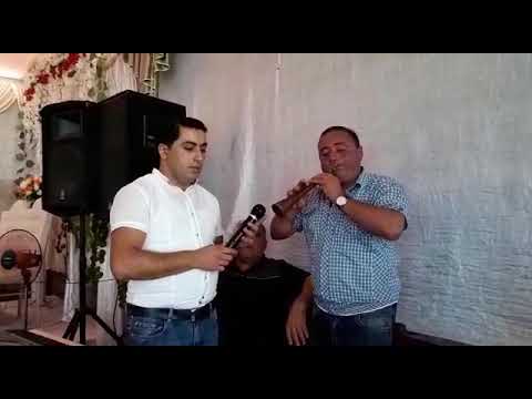 Ziyedin borçalı kepenekci bulbulu