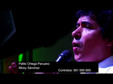 Micky Sánchez es Palito Ortega Peruano
