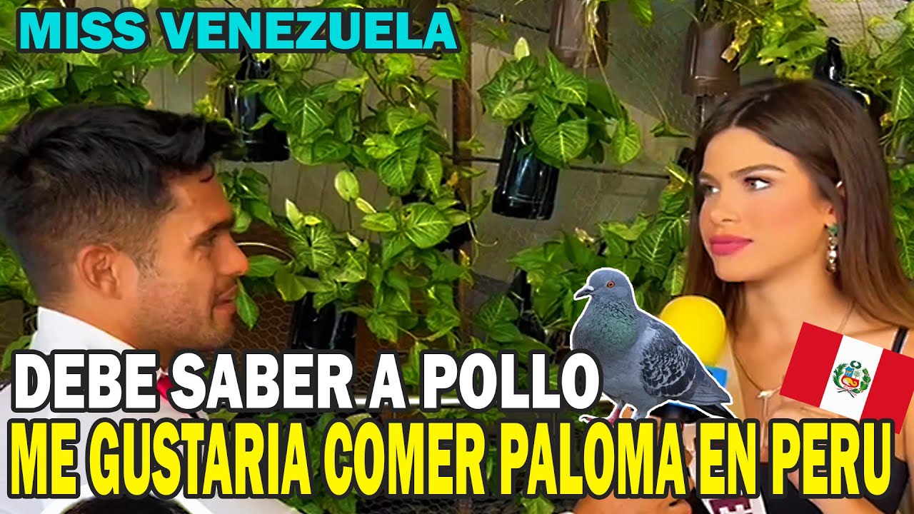 ¡Indignación total! ¿Peruanos comen palomas? La polémica declaración de ...