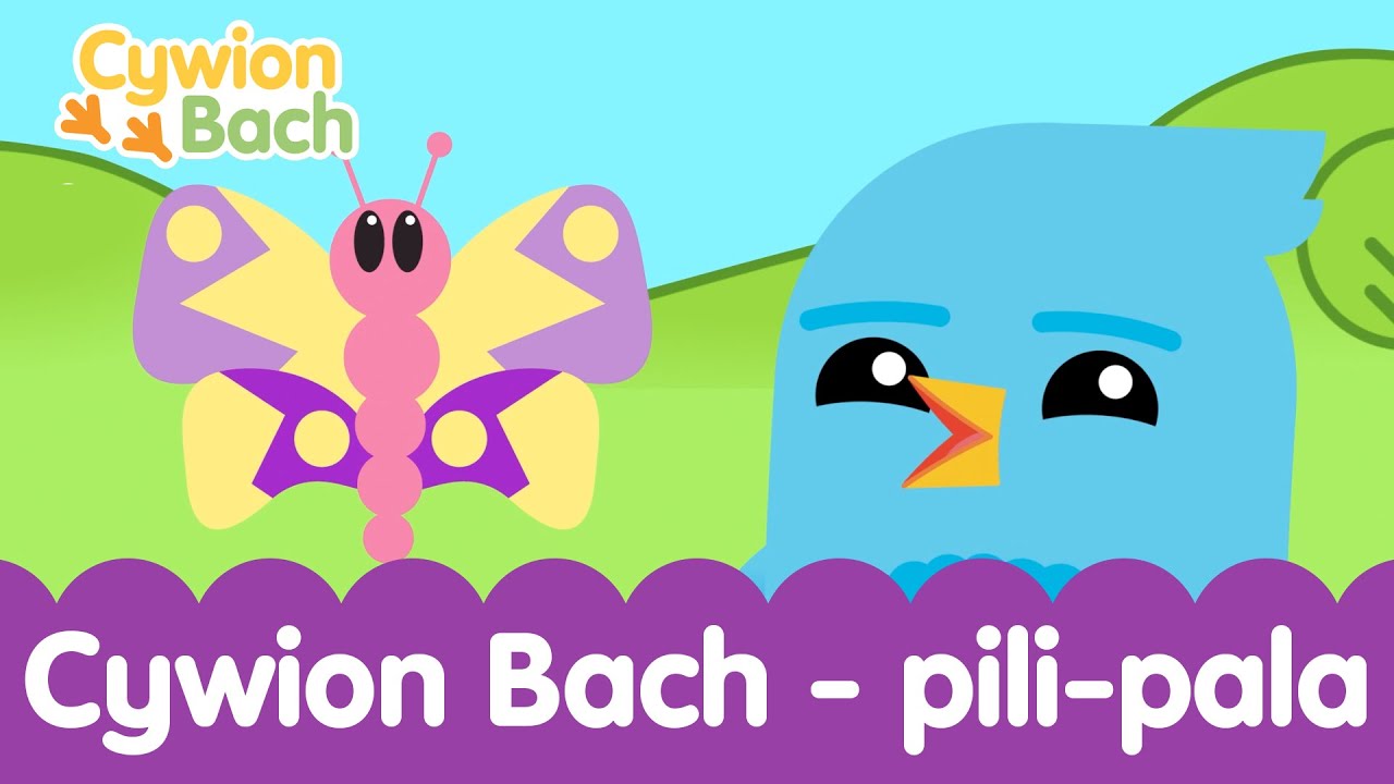 🦋 Cywion Bach - Pili-pala | Welsh children's learning literacy songs ...