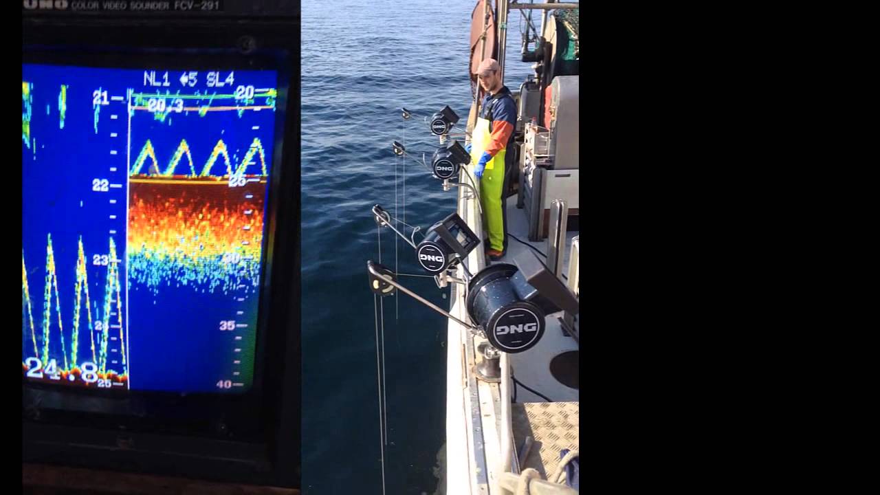 Versuchsfischerei - DNG Jigging reel - Ostsee - YouTube