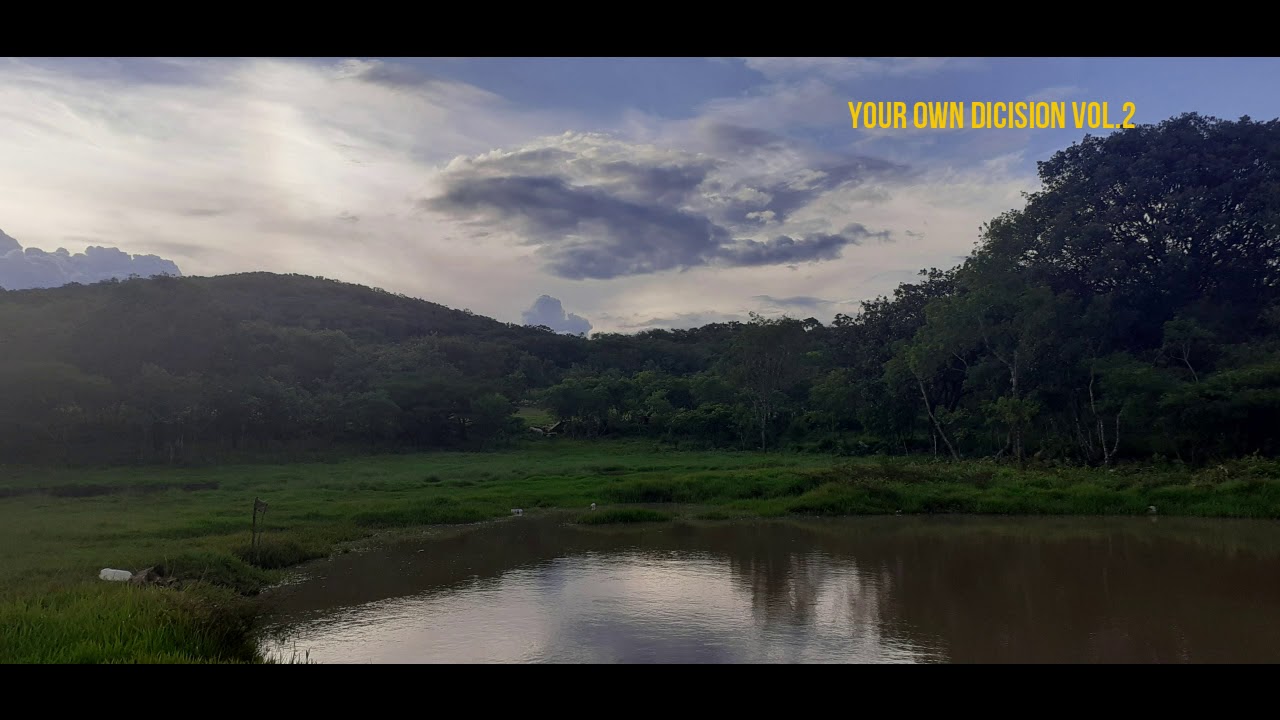 YOUR OWN DECISION VOL 2 YouTube your-own-decision-vol-2-youtube