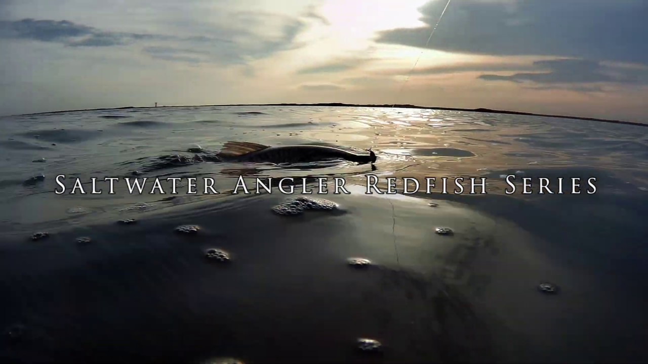 Saltwater Angler Redfish Series Ron Henne, and Tony G. playing with the ...