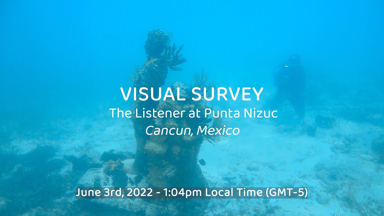 Survey of Mesoamerican Reef fish - June 3rd, 2022 | The Listener, Punta ...