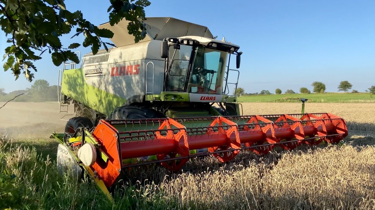 Claas Lexion 600, A Beast From The Past, Harvesting Wheat (4K) - YouTube