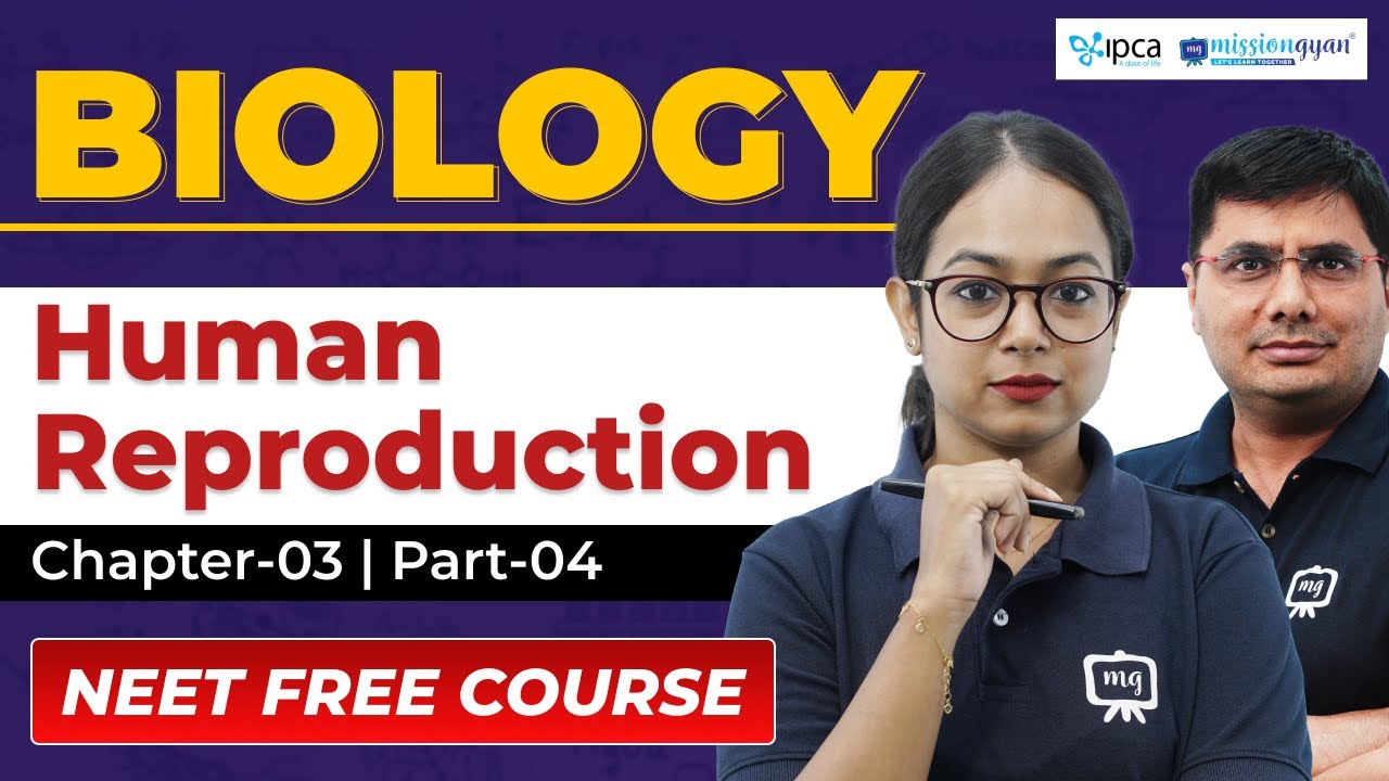 Human Reproduction System For NEET 2024 | Zoology Crash Course For NEET ...