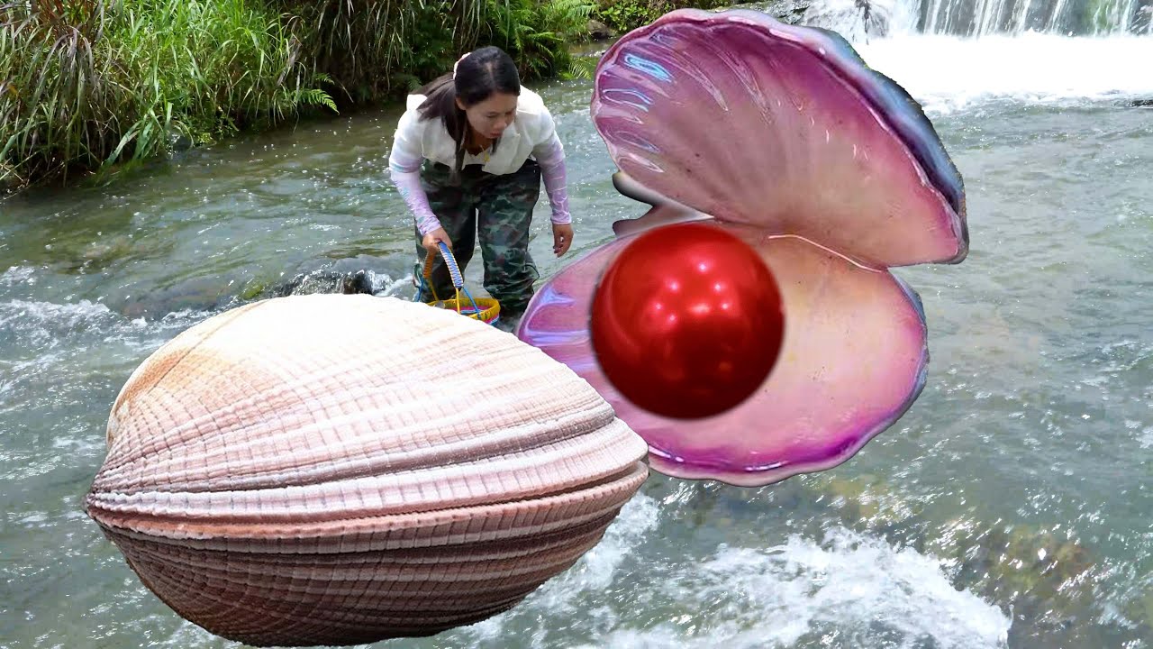 😱😱When I pried open the giant clam, I was shocked. Inside was a rare ...