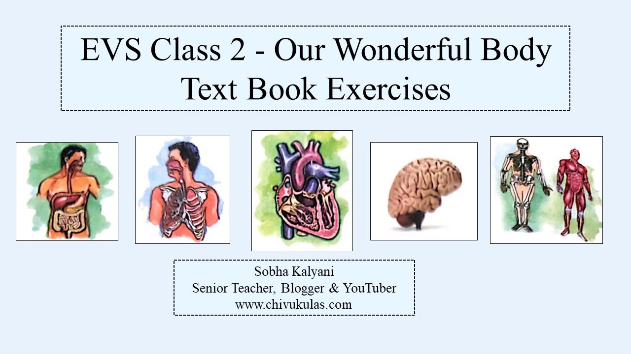 EVS Class 2 Our Wonderful Body Text Book Exercises || Class 2 EVS Text ...