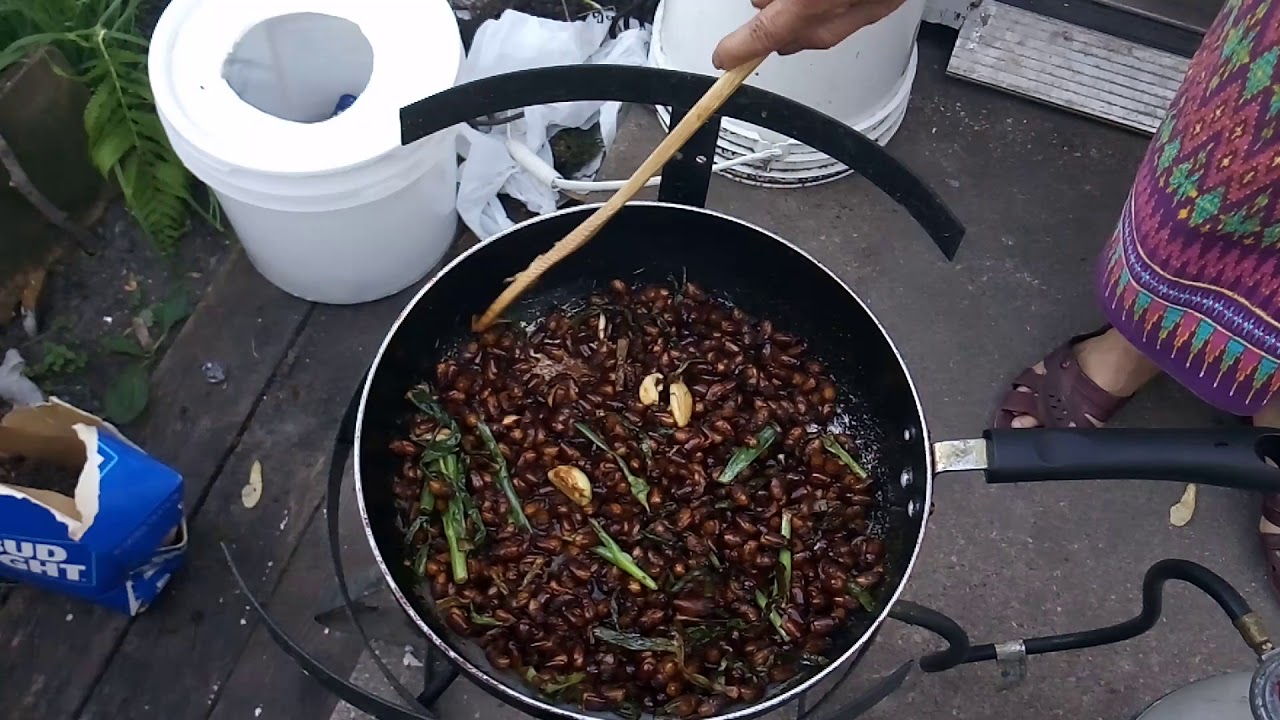 Cooking June bug at the back yard - YouTube