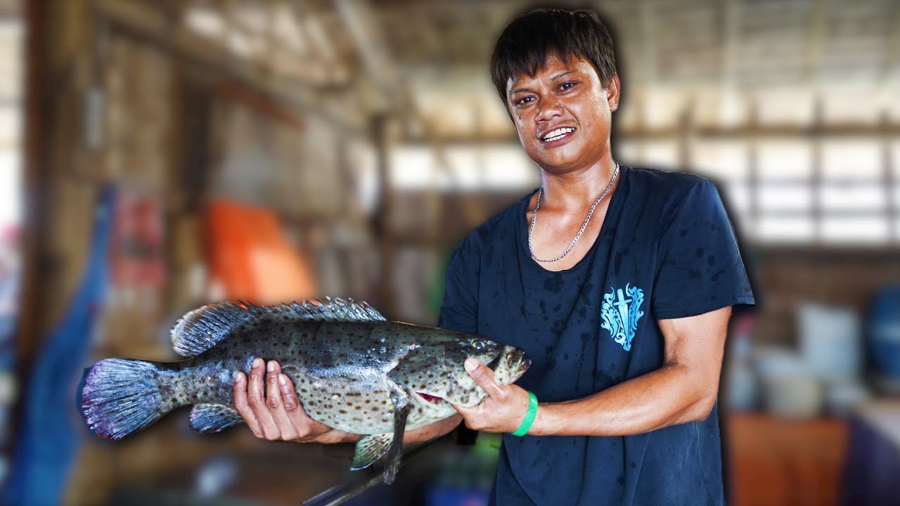 Huge Lapu-Lapu and Seafood sa Cadimahan River sa CAPIZ! - YouTube