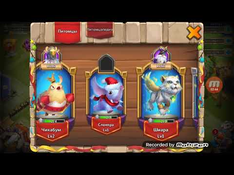 Кастел клеш