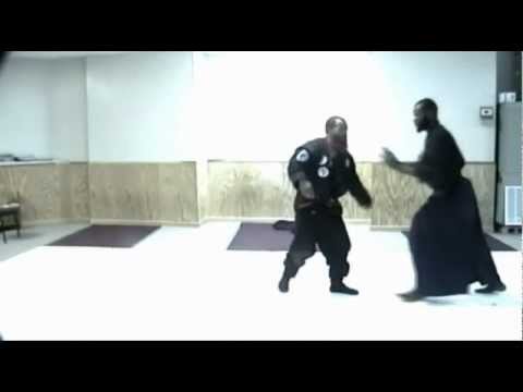 Ninjutsu: Chi No Kata Earth Forms 2 DVD new for 2012