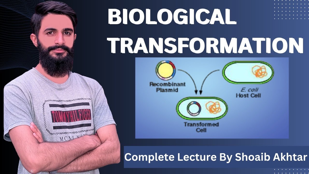 Biological Gene Transfer Methods | Biological Transformation - YouTube