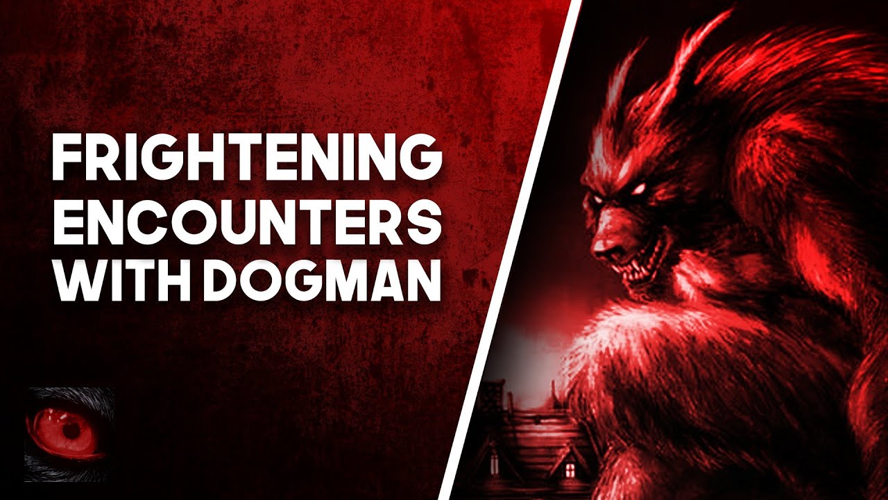 BLOODTHIRSTY COYOTE MEN - 3 SCARY STORIES OF DOGMAN SIGHTINGS - What ...
