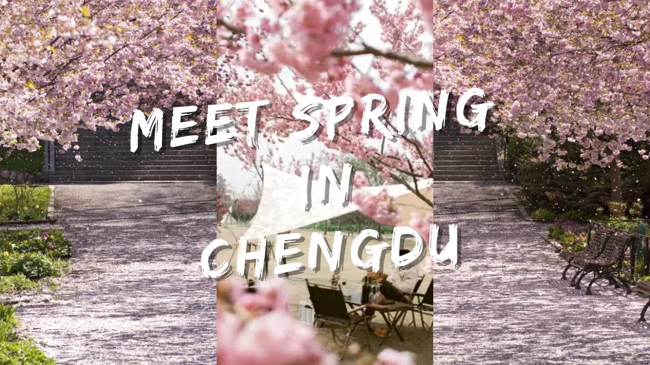 Let's embrace the blooming spring in Chengdu together🏵 #spring - YouTube