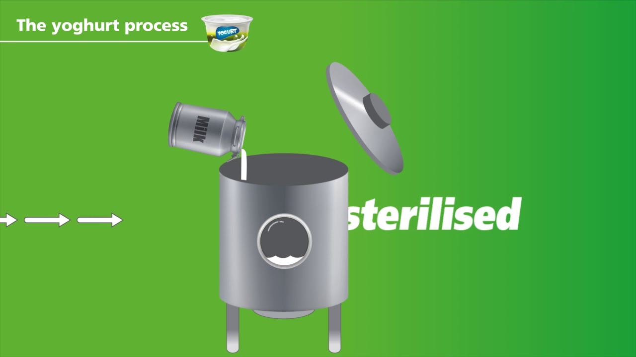 YOGHURT PROCESS - Demo Motion Graphics - YouTube