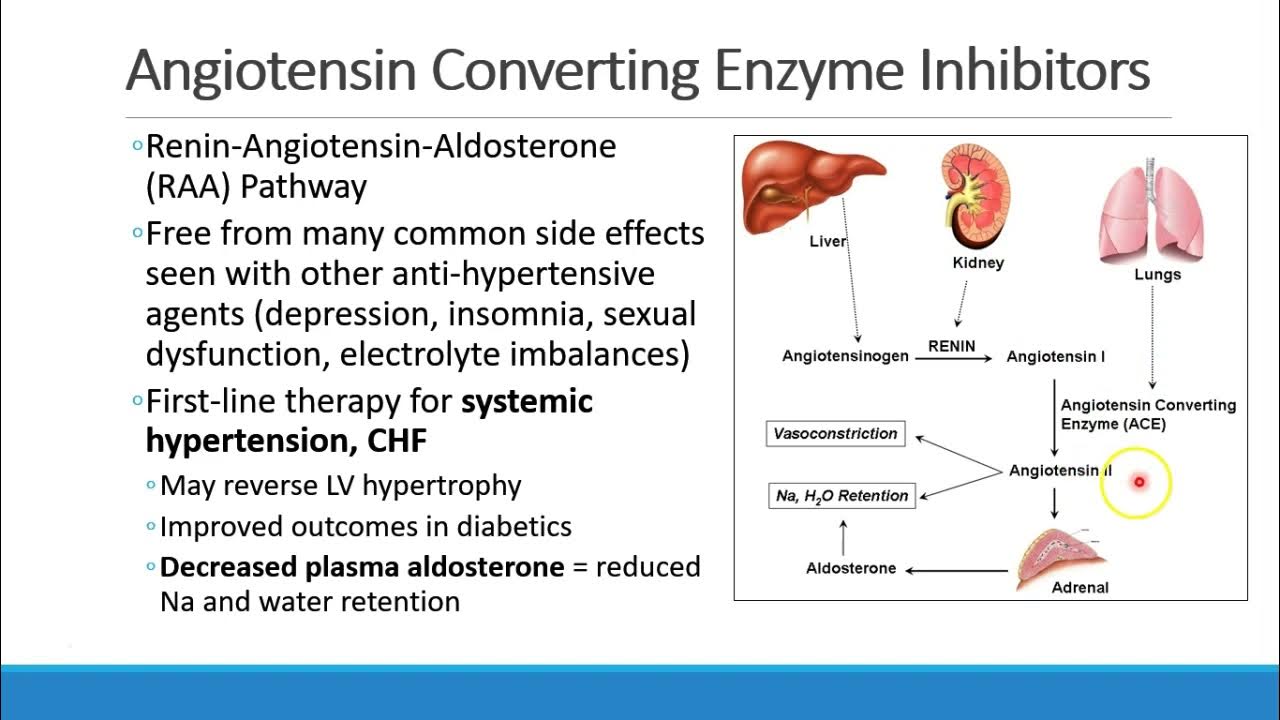 Pharmacology for Anesthesia 09 Cardiovascular Part 1 - YouTube