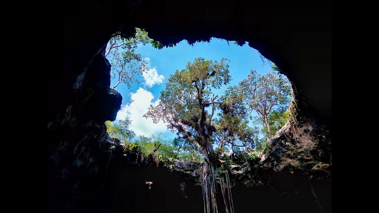 Cascabel Cenotes - Santa Barbara - Homun - Yucatan - YouTube