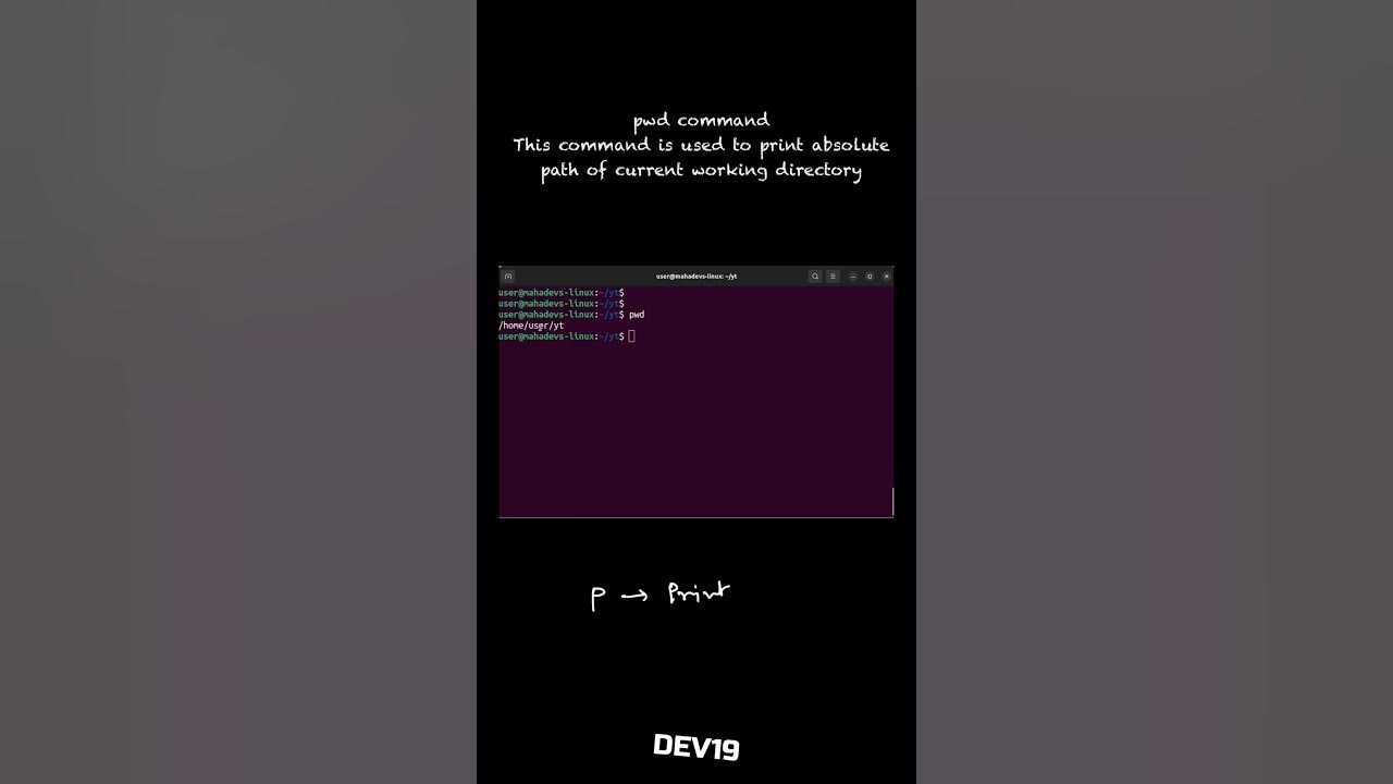 pwd | 🐧Linux Commands #1 | #linux #programmer #coding #ubuntu #kali # ...