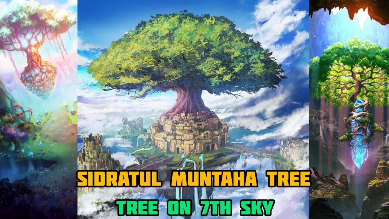 Sidratul muntaha kya hai | sidratul muntaha tree explained | story of ...