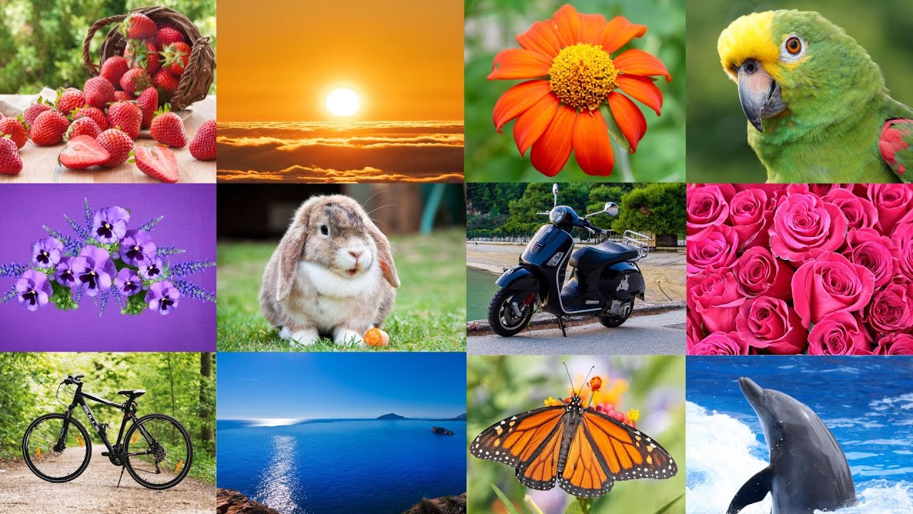 We Love all the Colors! | Color Song for Kids | Red Red Strawberry🍓🍓 ...