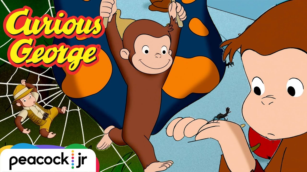 George's Itty Bitty Bug Friends 🦋 🐛 🐜 🪲 | CURIOUS GEORGE - YouTube