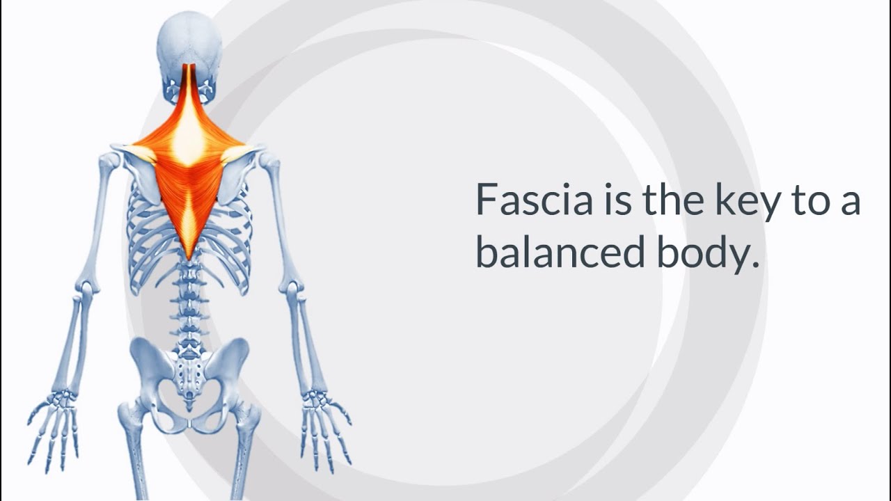 What is Structural Integration - YouTube