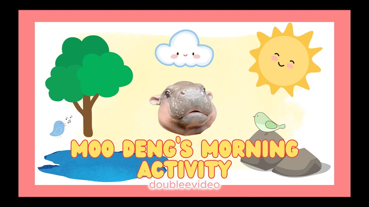 หมูเด้ง | Moo Deng's Morning Activity | Thailand Baby Hippo - YouTube