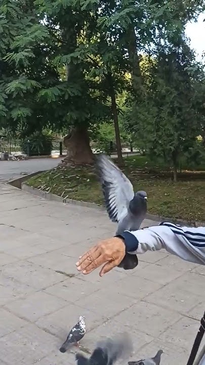 Позитифф с утречка... - YouTube