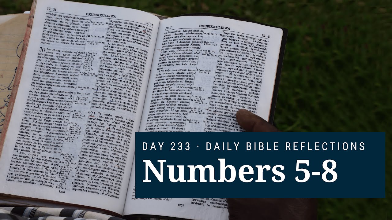 DAY 233 | Numbers 5-8 | The Bible in A Year - YouTube