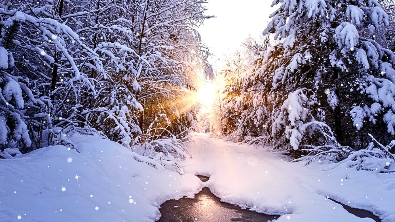 Winter Wonderland at Sunset: Snowfall in Forest with Calm Ambient Music ...