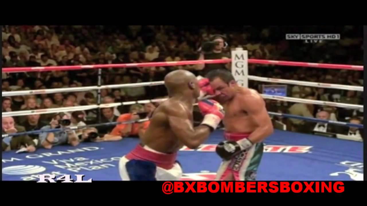 BRONX BOMBERS BOXING! - YouTube