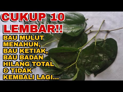 BANYAK YANG BERHASIL! BAU MULUT MENAHUN,BAU KETIAK & BAU SELURUH BADAN HILANG TOTAL!