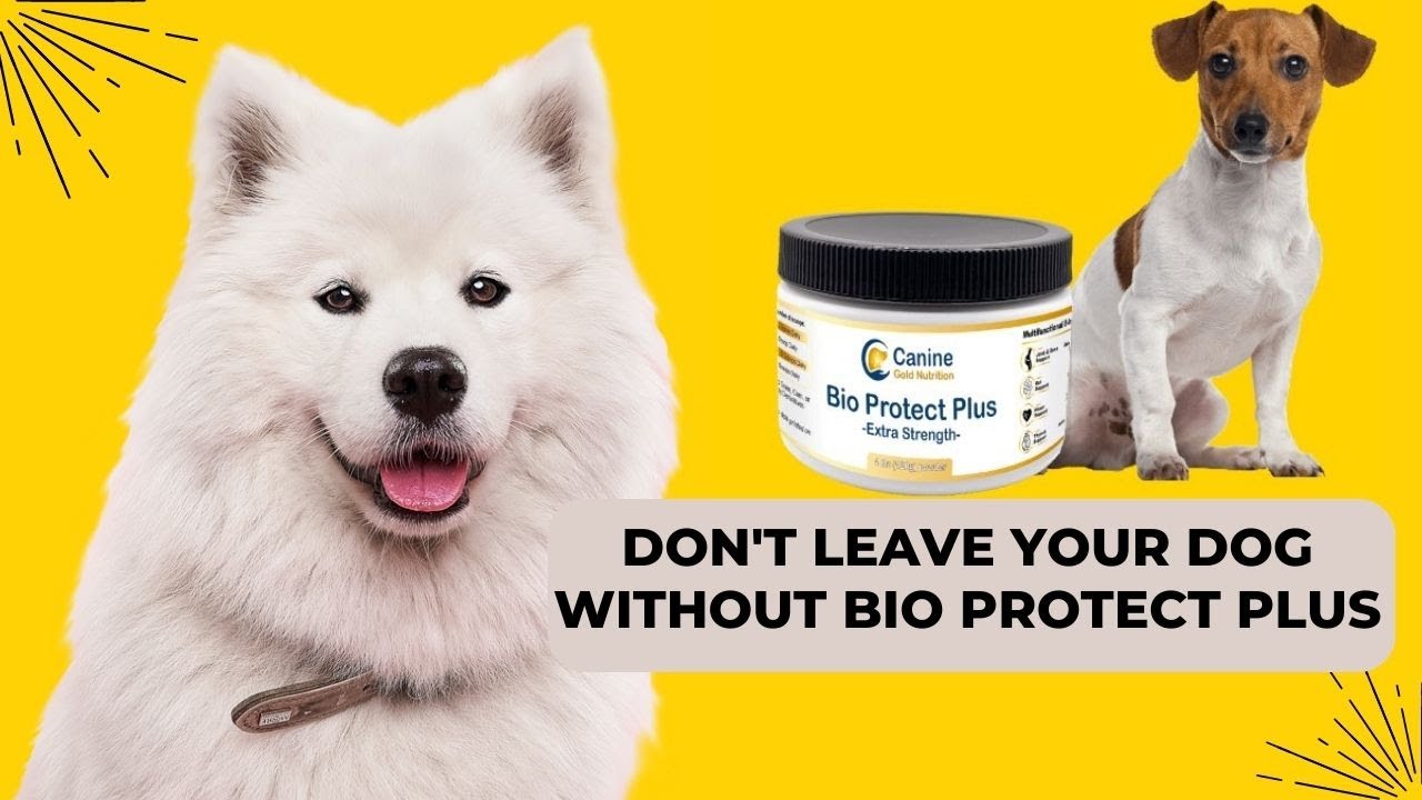 Bio protect plus- Alert - supplement bio protect plus | bio protect ...