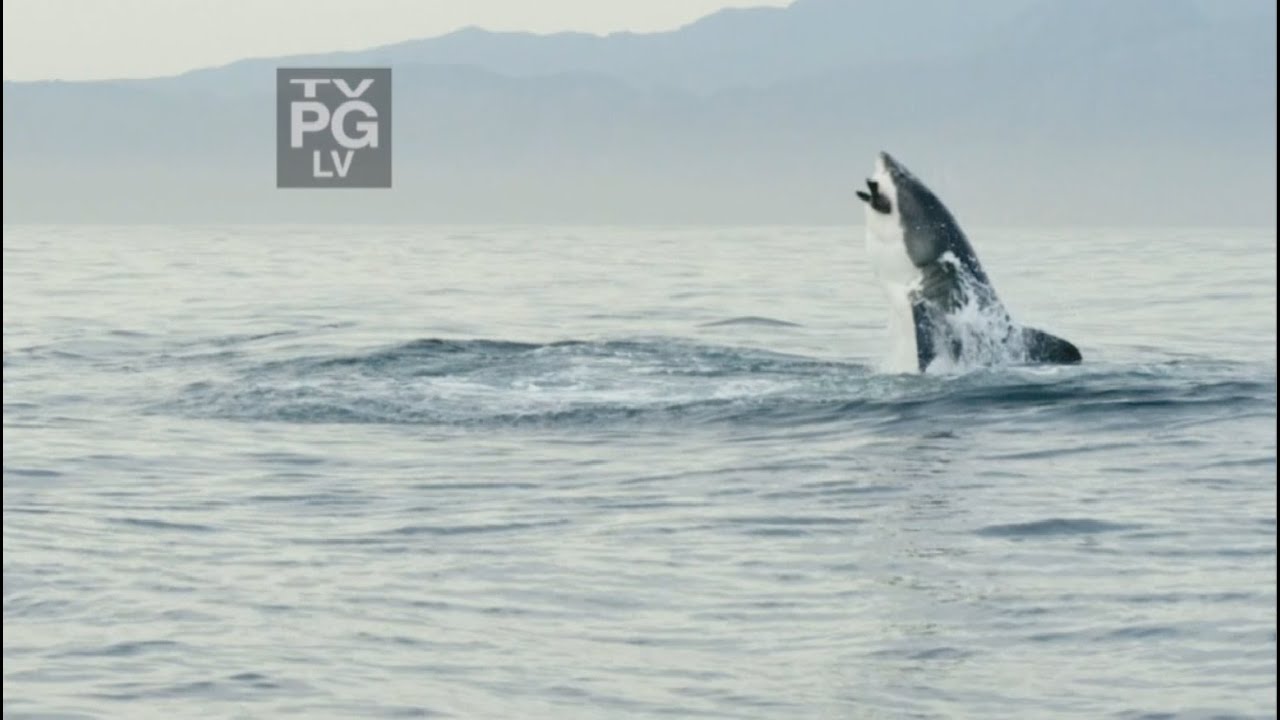 Dan Nachtrab: Male Documentary Narration Demo (Actual Work) - YouTube