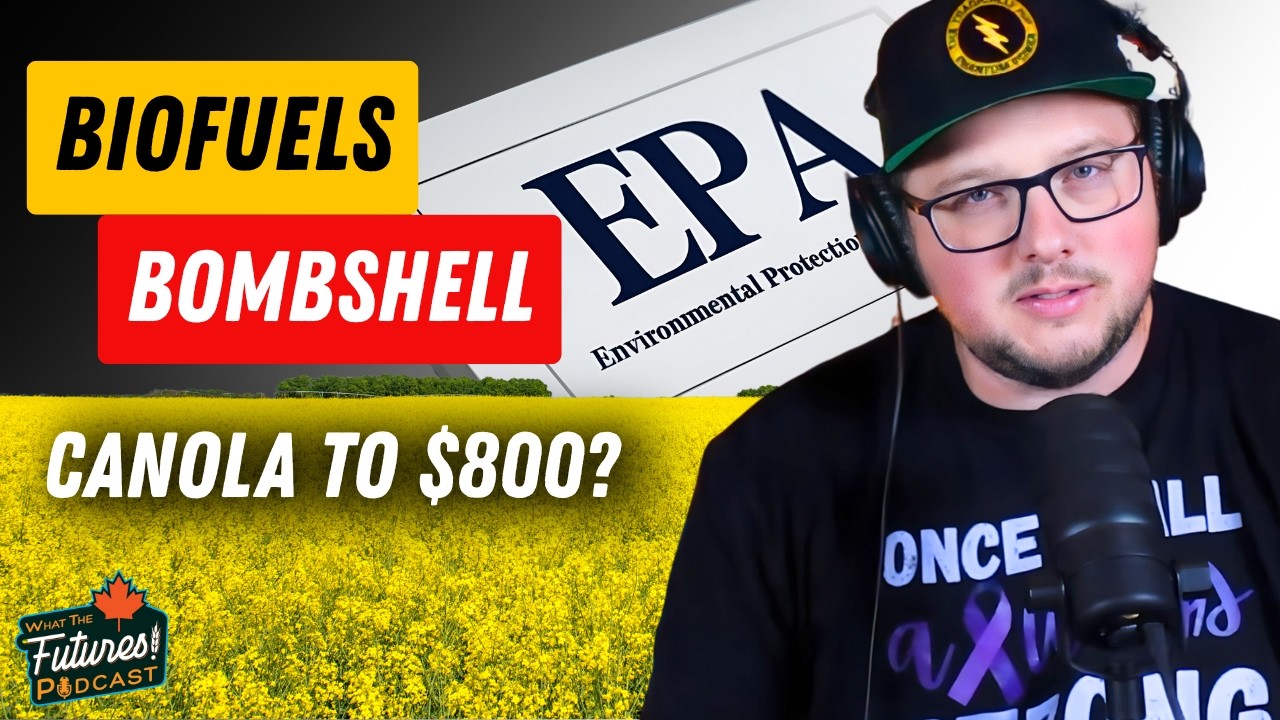 EPA Biofuel Shock: Canola, Diesel & Wheat Market Update - YouTube