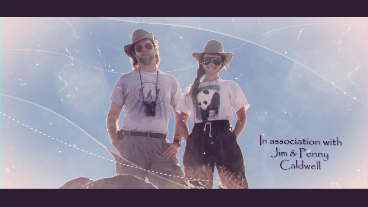 NEW Video Series Coming Soon! FIRST ENCOUNTERS - YouTube