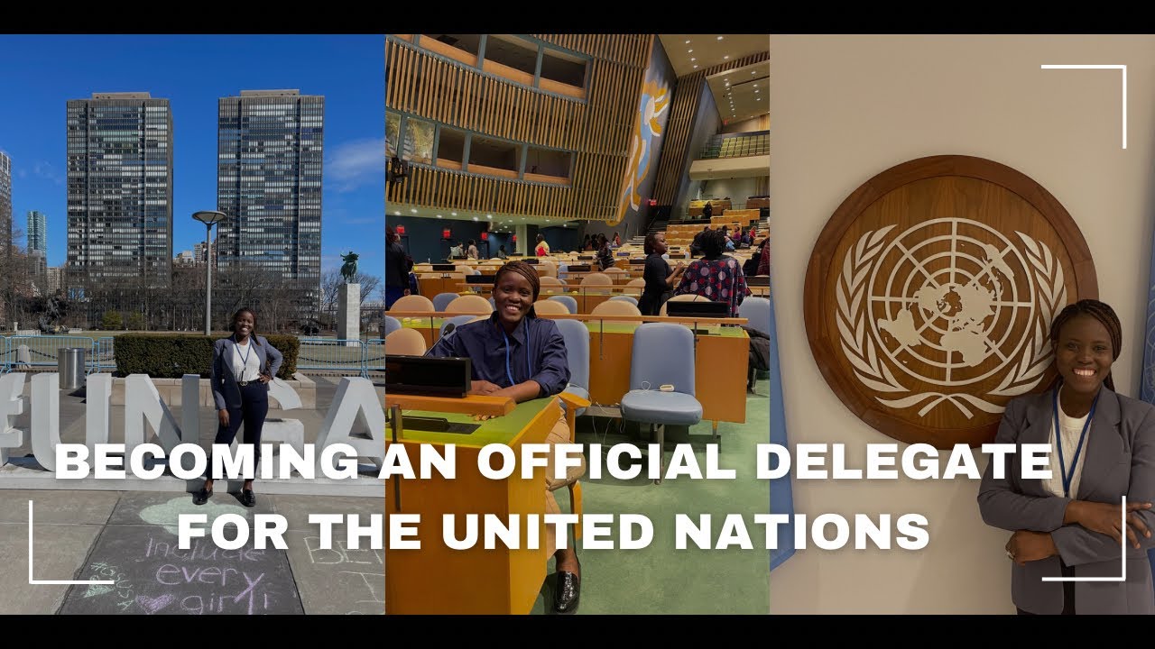 Becoming an official delegate for the United Nations as an ...