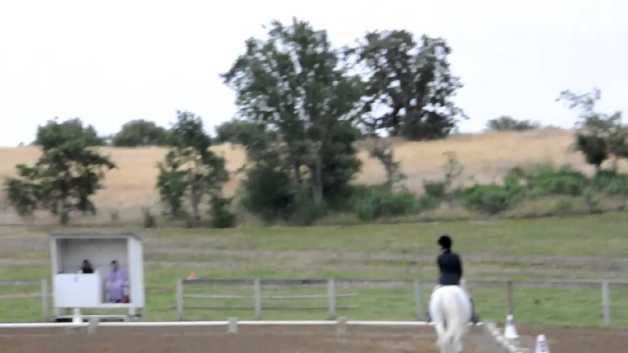 Shepherd Ranch Horse Trails- Day 1 Dressage - YouTube