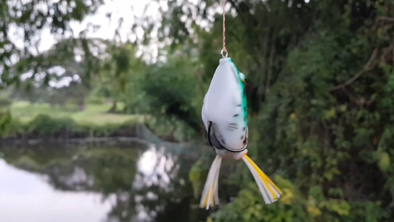Mabisa pala ang lure na eto | Snakehead Fishing - YouTube